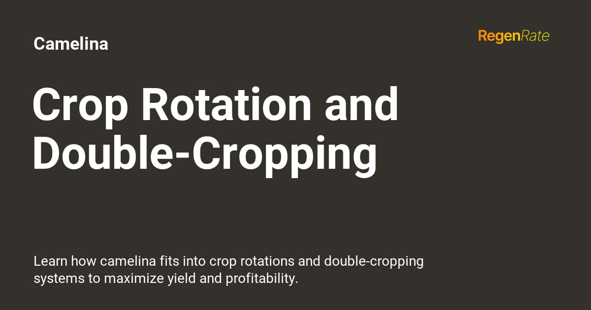 Crop Rotation and Double-Cropping - Camelina
