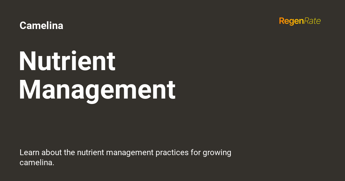Nutrient Management - Camelina