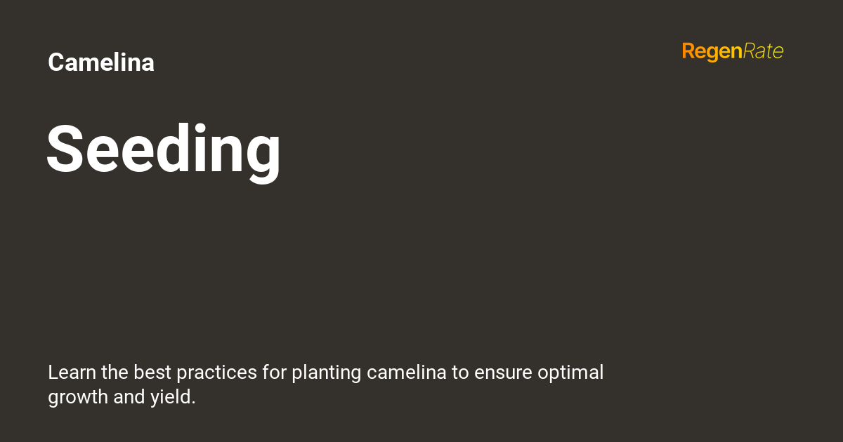 Seeding - Camelina