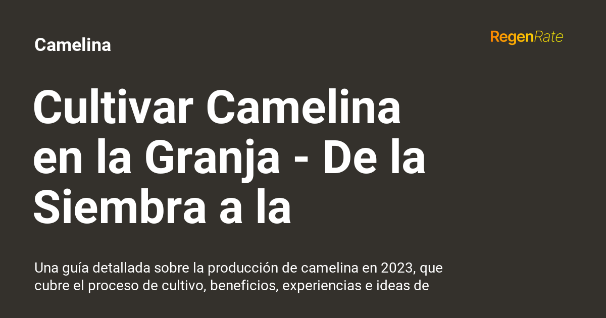 Cultivar Camelina en la Granja - De la Siembra a la Cosecha - Camelina