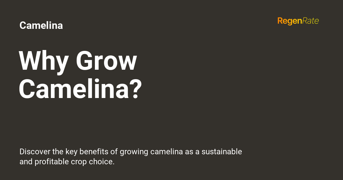 Why Grow Camelina? - Camelina