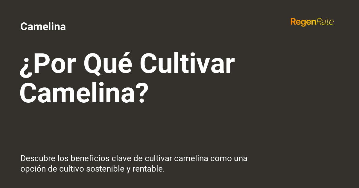 ¿Por Qué Cultivar Camelina? - Camelina